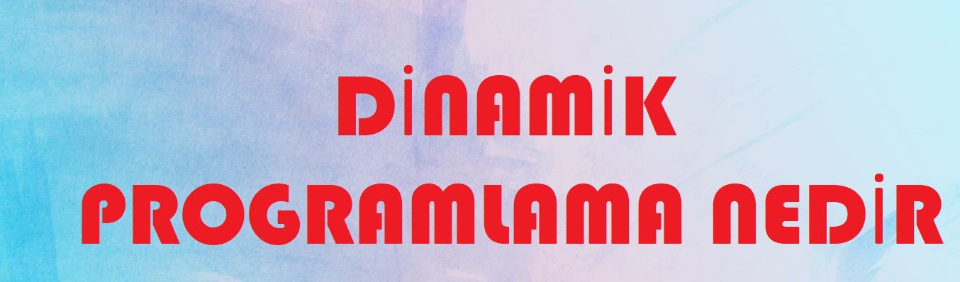 Dinamik Programlama Nedir? Nerede Kullanılır?
