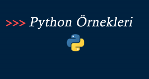 Python Programlama Dili ile While Örnekleri | Yazılım Aktif